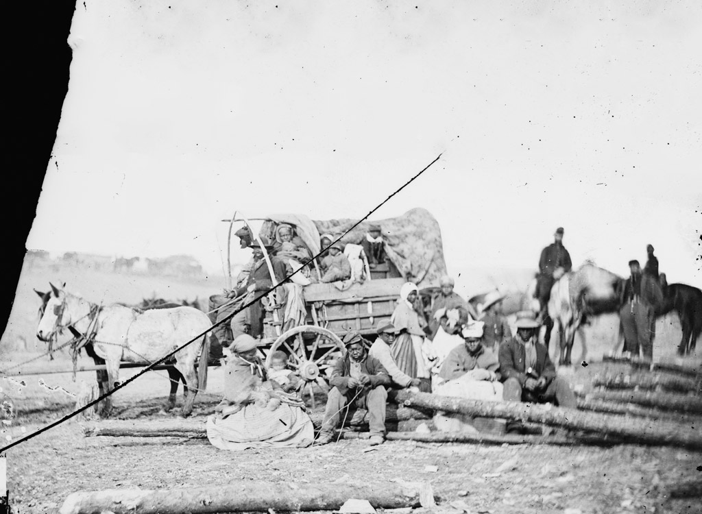 The CALS David Stricklin Research Fellowship Experience: Kimberly Green ...