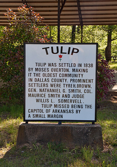 The Educated Smith Women of Tulip, the Athens of Arkansas - Roberts Library