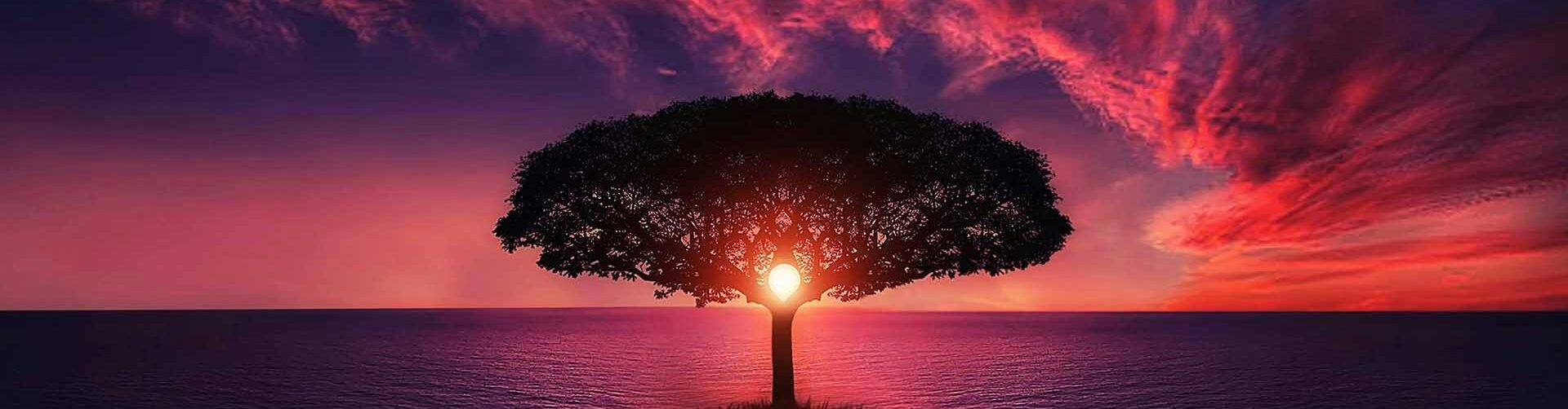 Learning Who I Am - Roberts Library